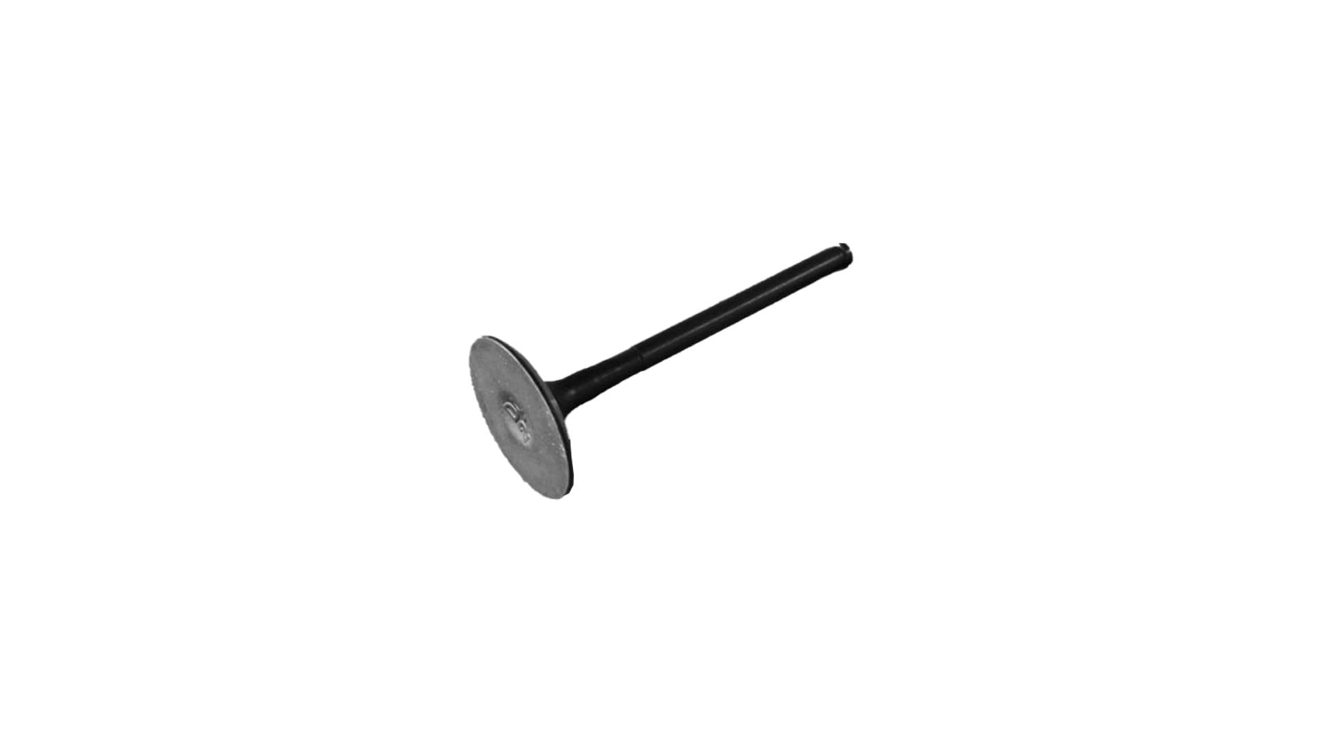 Exhaust Valve - Zhongshen 190cc ZS190 Engine – Steady Garage