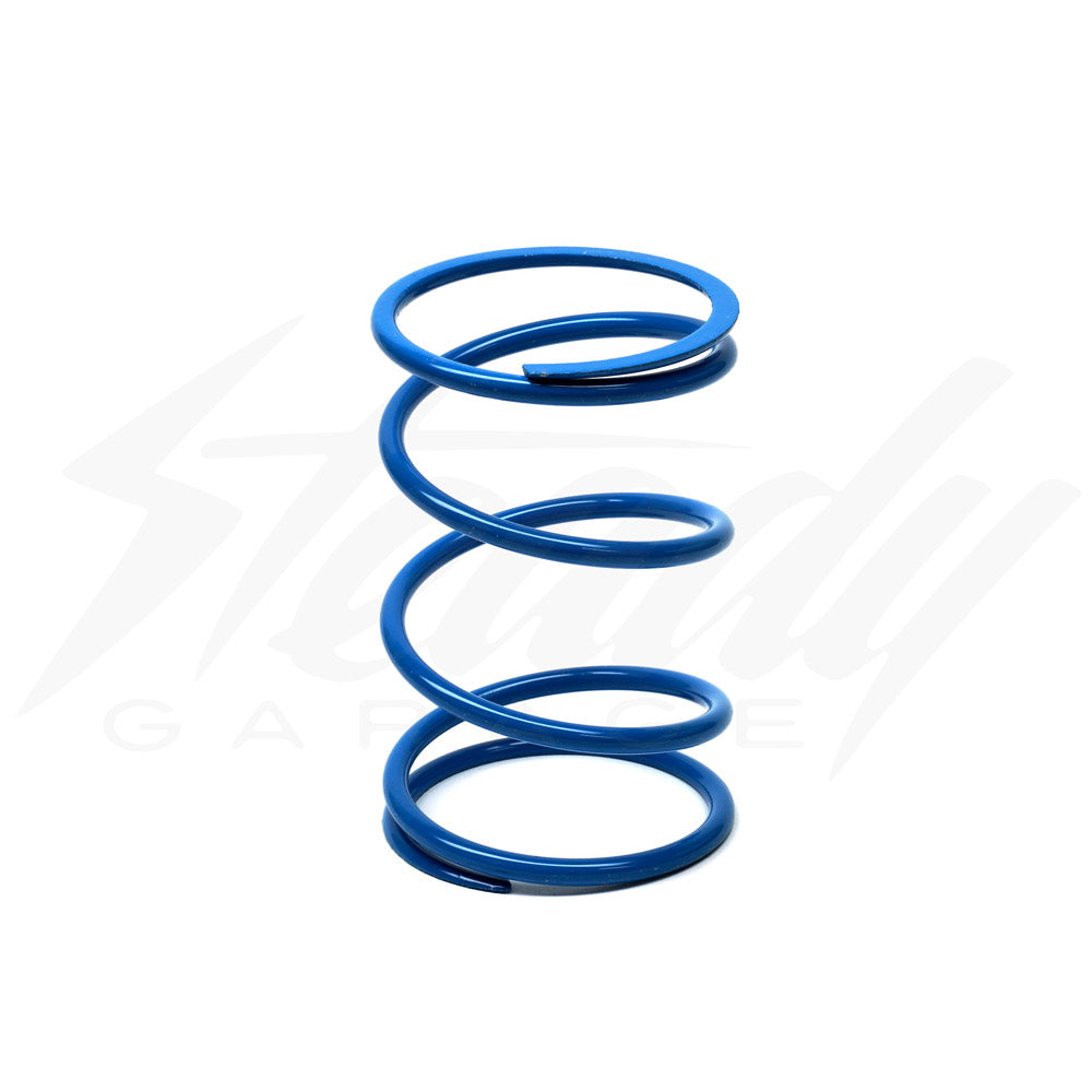 Polini Performance Torque Spring 1500 RPM - Honda Ruckus Metropolitan ...